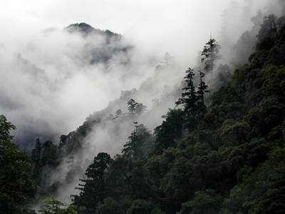 China Natural History Project - Yunnan 2000