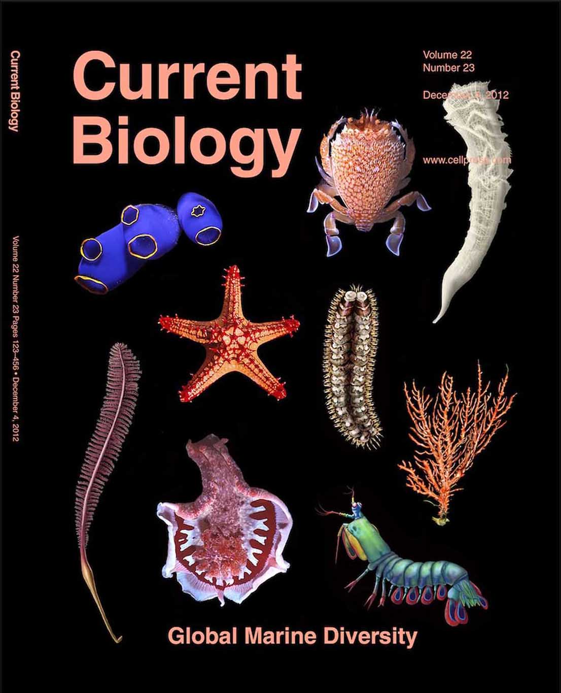 Untitled Document [researcharchive.calacademy.org]