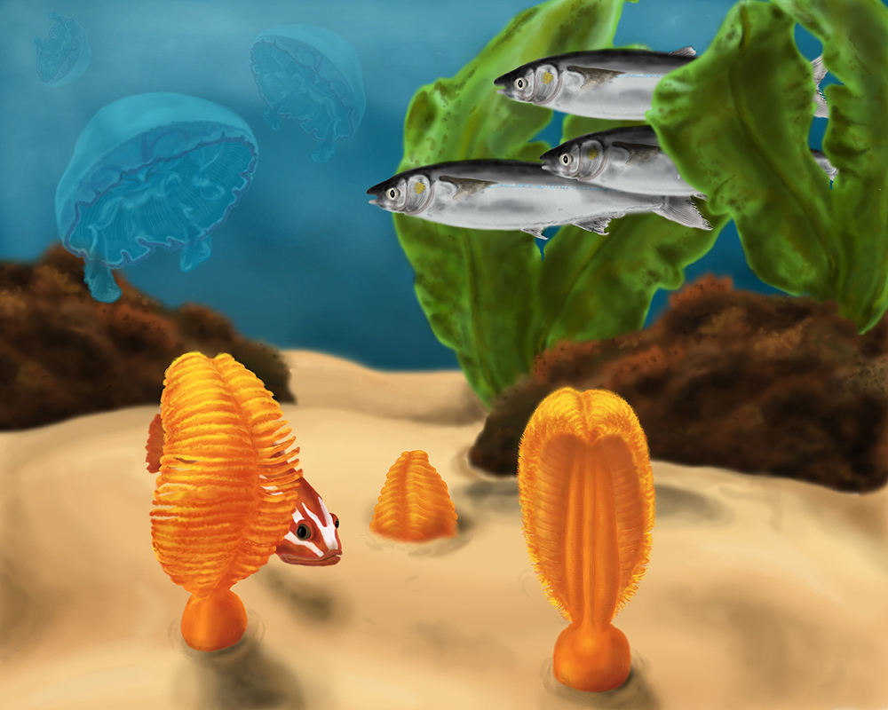 A subtidal biotic community from the Pacific Coast of North America